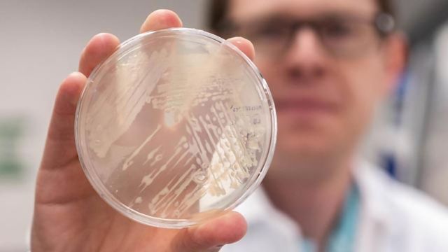 An Unnatural Way to Make Natural Products | Technology Networks