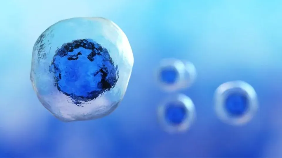 Global Single-Cell Genome Sequencing Market $13.2 Billion by 2034