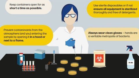 Bacterial Culture Infographic | Technology Networks