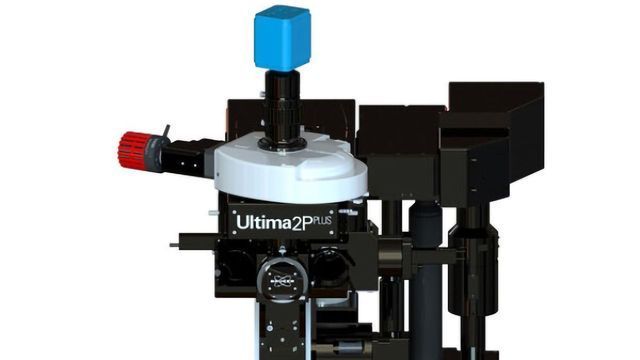 Ultima 2Pplus | Technology Networks