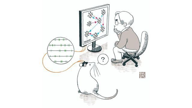 Machine Learning Harnessed To Build Map Of The Connectome Technology Networks