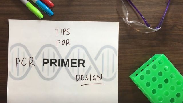 Tips for PCR primer design | Technology Networks