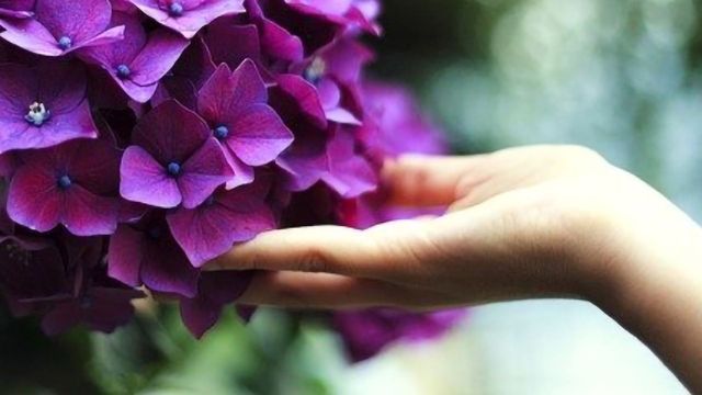 New Areas of the Brain Linked to Body Perception | Technology Networks