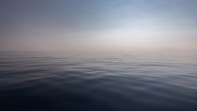 Could the True Extent of Ocean "Dead Zones" Be Masked by Dark Carbon ...