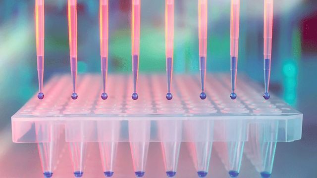 Advances in High-Throughput Screening | Technology Networks