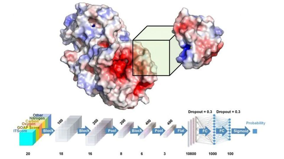 Deep Learning, 3D Technology To Improve Drug Design | Technology Networks