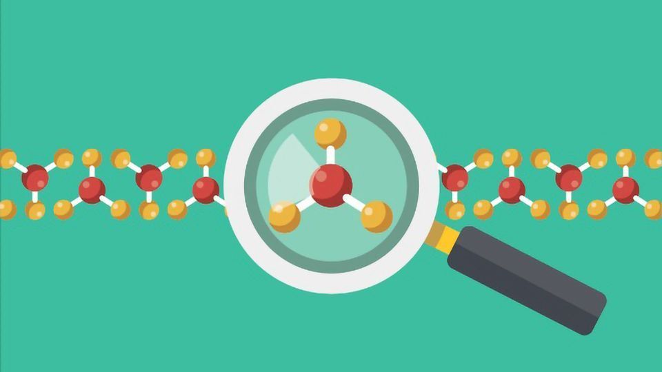 Assay Development: Best Practices in Drug Discovery | Technology Networks