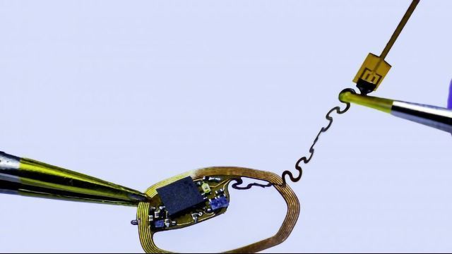 Wireless Brain Implant Can Illuminate the Brain, One Neuron at a Time ...