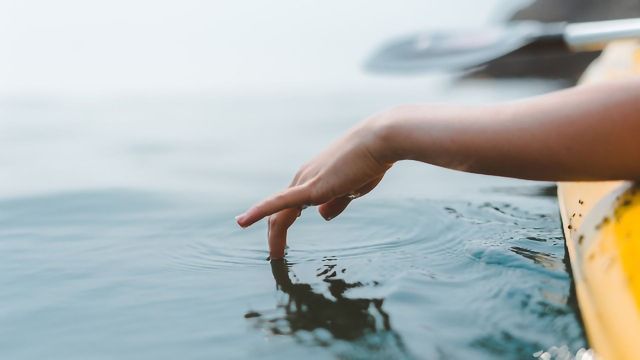 Tactile Pain Is Amplified and Pleasure Dulled for Migraine Patients ...