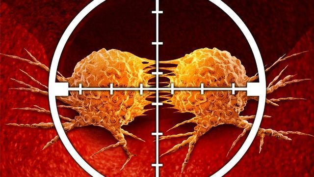 Team Designs Tiny Nanoparticles To Target Cancer Cells | Technology ...