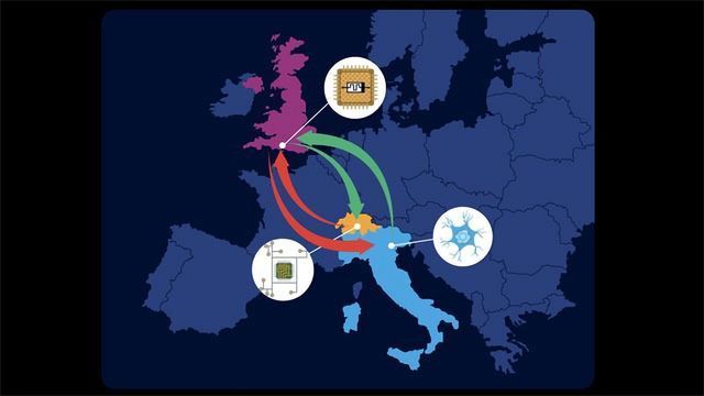 New Network Links Rat and Artificial Neurons | Technology Networks