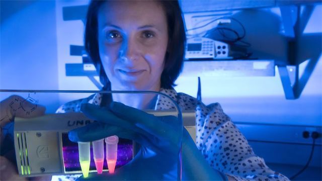 Coronavirus Testing Kits to Be Developed Using Pioneering Imaging Tech ...