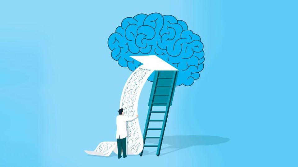 The Key to Keeping Working Memory Working | Technology Networks