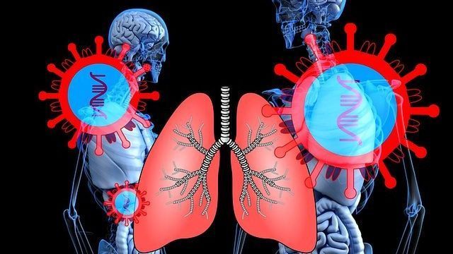 New Immune Cell on the Block During Viral Lung Infections | Technology ...