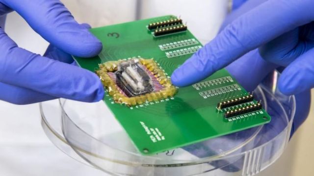 Heart-on-a-Chip Mimics Cardiac Ischemia | Technology Networks