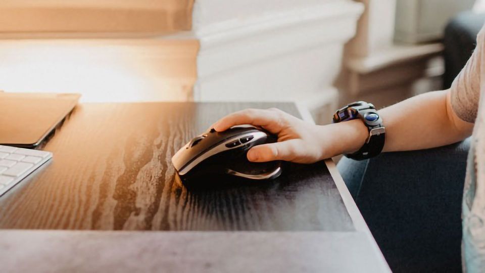 How Visual Cues Keep Our Muscles Moving | Technology Networks