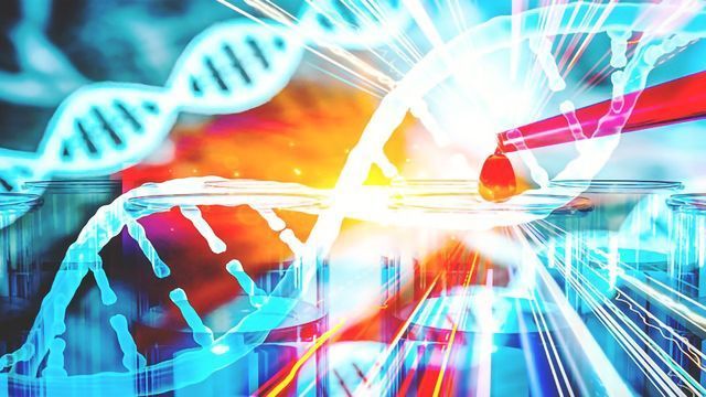 In-womb Gene Correction Offers Potential To Treat Disorders Before ...