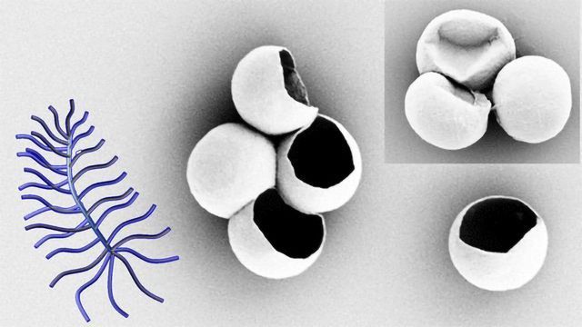 Pressing “Start” and “Pause” on Crystal Self-assembly | Technology Networks