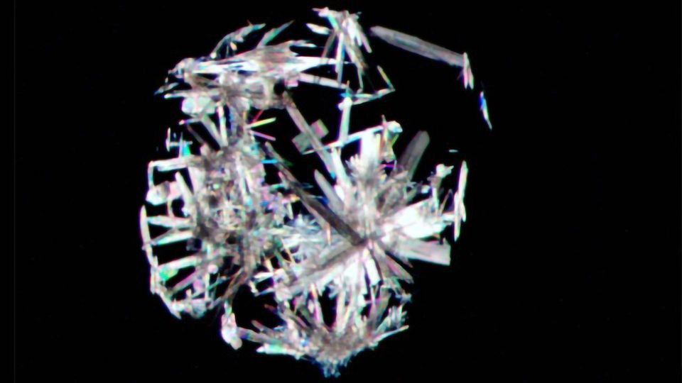 Novel Chemistry Technique Could Fast-track Drug Development ...