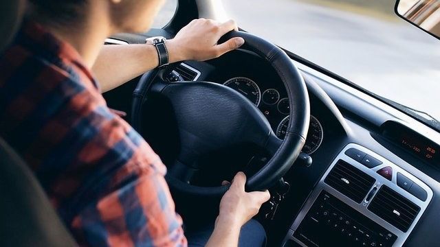 Researchers Locate the Brain's "Steering Wheel" | Technology Networks