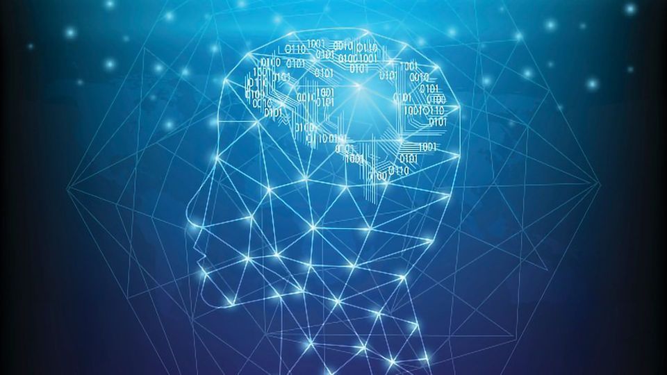 Tool Used To Identify Different Types of Brain Injury | Technology Networks