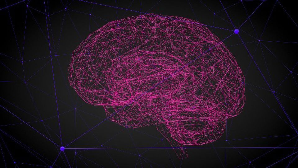Enzyme That Protects Neurons From DNA Damage Is Diminished by Alzheimer ... Enzyme That Protects Neurons From DNA Damage Is Diminished by Alzheimer ...