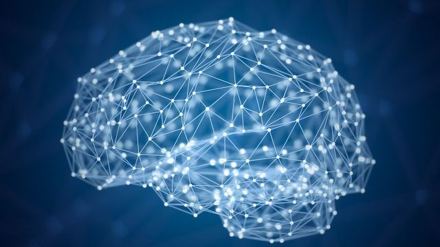 Labeling Technique Allows Researchers To TRACE the Brain | Technology ...