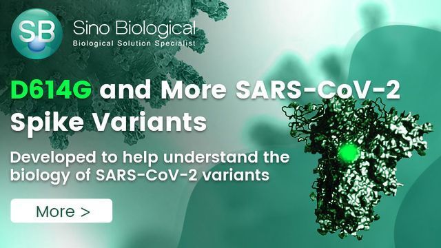 D614G : SARS-CoV-2 S1 Variant | Technology Networks