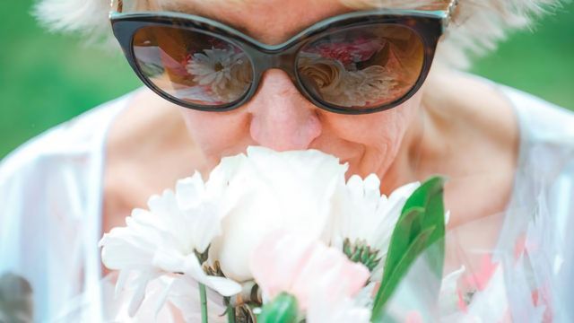 Sniffing Out Smell: How the Brain Organizes Odor Information ...
