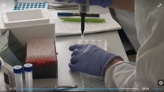 Cardiac repair and heart failure: EVOS™ M5000 microscope at the cutting ...