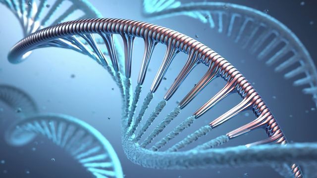First Complete Human X Chromosome Sequence Generated | Technology Networks