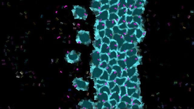 Mouse Study Shows Fragile X Neurons Lack Signal-Detecting "Antennas ...