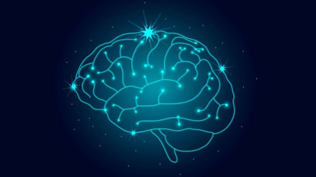 Autism-Associated Mutation Disrupts Oxytocin Signaling Pathway in Mouse ...