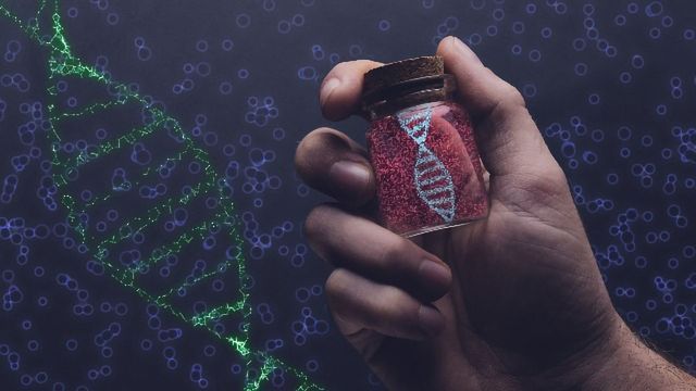 Study Confirms Efficacy of Gene Therapy for Spinal Muscular Atrophy in ...