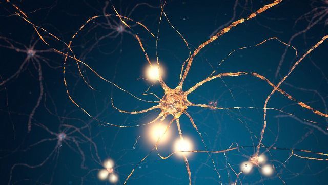 Twinkle, Twinkle, Little Neuron: Star-Shaped Brain Cells May Explain ...