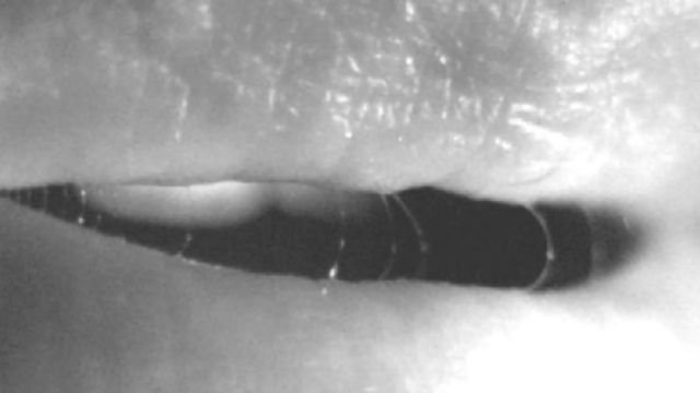 Spit It Out! How Speech and Singing Propel Pathogens | Technology Networks