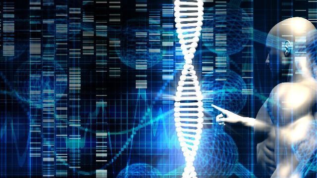 “CHESS” Tool Helps Spot the Difference in Genome Organization ...
