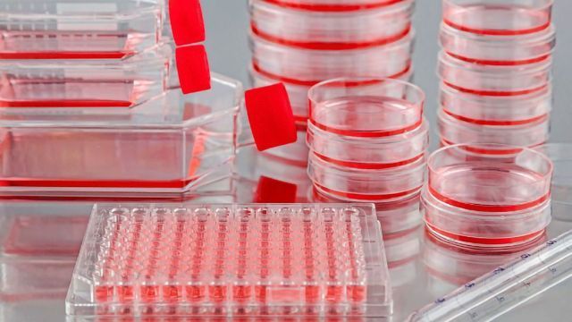 The Cytomat Automated Incubator Series and the Air Purging System ...