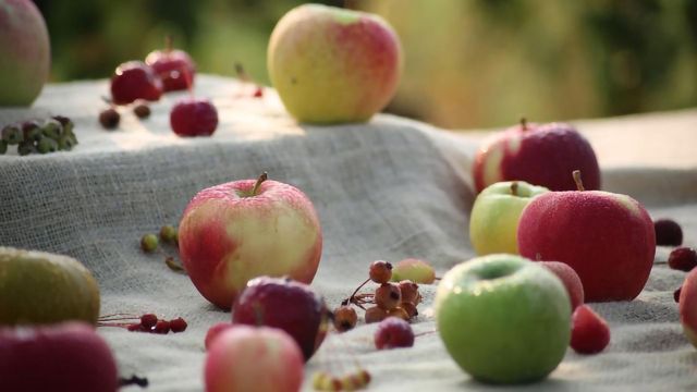 Scientists Assemble Full Genomes for Domesticated Apple and Two of Its ...