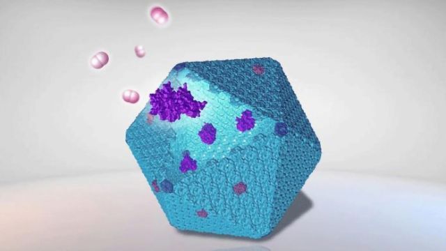 Sustainable Bioenergy Potential of Protein "Cage" Unlocked | Technology ...