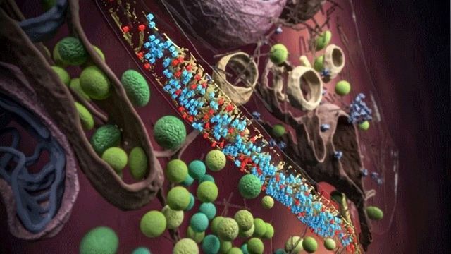 Taking a Peek at the Building Blocks of Brain Computing | Technology ...