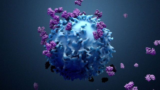 Genetically Engineered T Cells a Possible Therapy for Autoimmune ...
