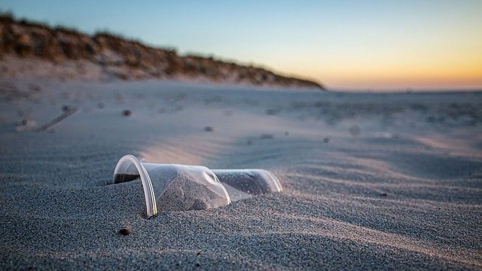Understanding of Plastic Pollution Could Be Improved by New Method To ...
