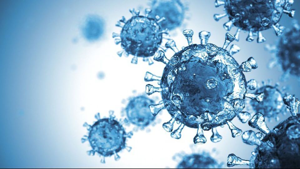 How the Coronavirus Spike Makeup Affects Binding to Human Cells ...
