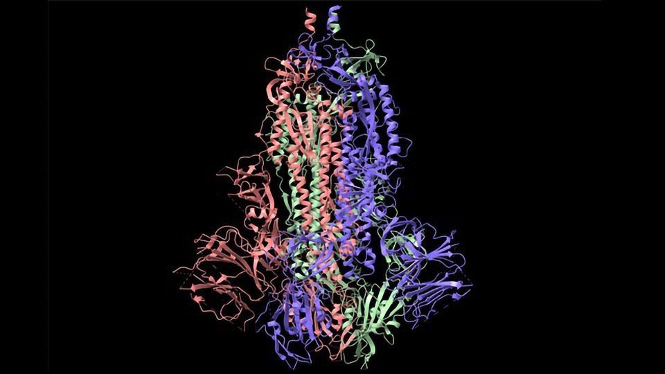 Designing RNA Medicines Using “Functionalized Fragments” | Technology ...