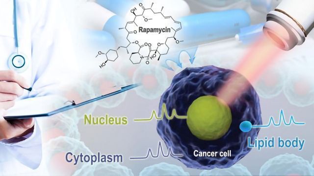 Single-Cell Test Uncovers How Drugs Kill Cancer Cells | Technology Networks
