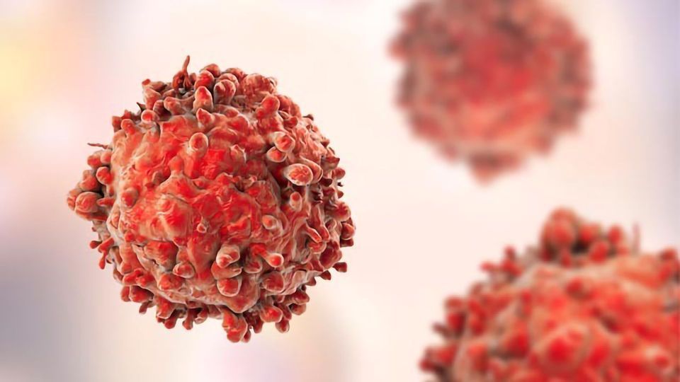 Understanding How Cancer Cells Adapt To Survive Harsh Tumor ...