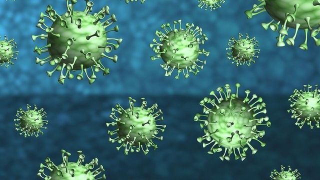 Cross Reactivity Seen Between SARS-CoV-2 and Antibodies to 2003 SARS ...