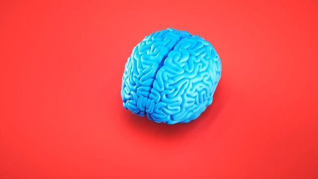 Alzheimer's Protein Deposits Link to a Hyperexcitable Brain ...