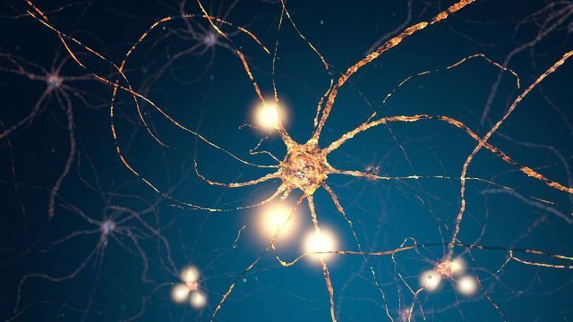 Brain Cell "Batteries" Linked to Autism Spectrum Disorders | Technology ...